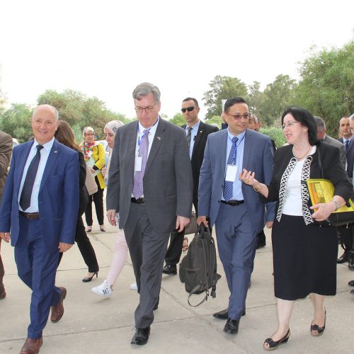 Belgacem Haba – Algerian American Foundation